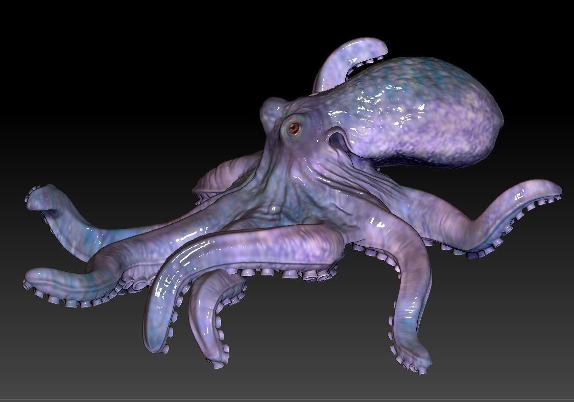 Octopus 3D model 3D printable | CGTrader