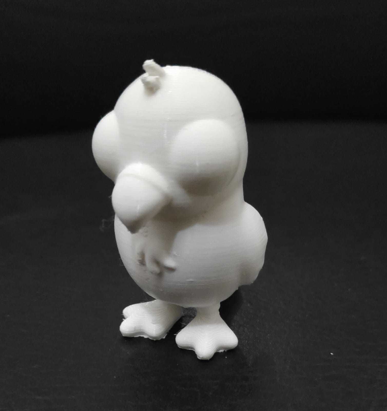 Parakeet Bird 3D model 3D printable | CGTrader