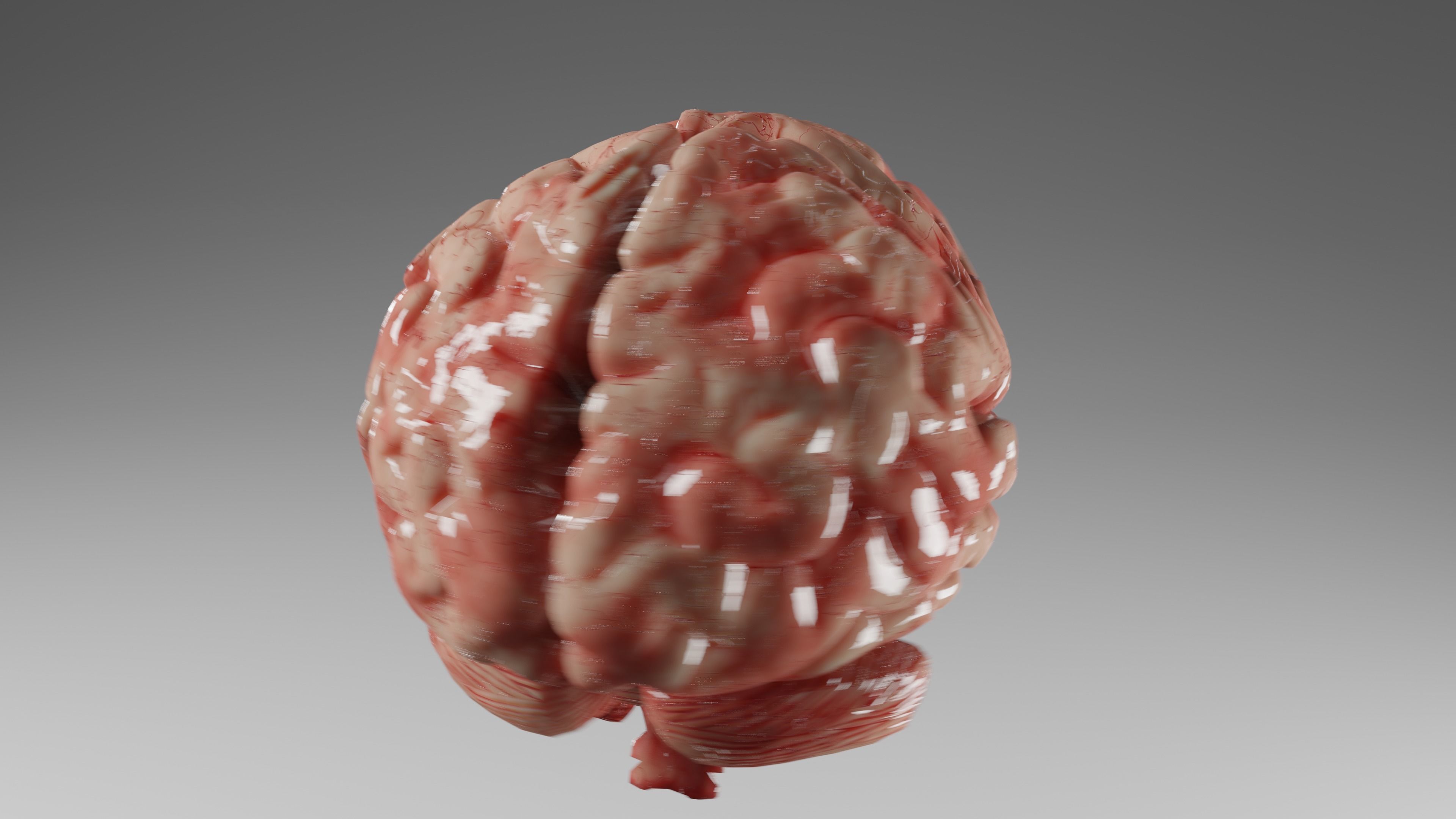 Human Brain 3D PBR Model - Eevee Render Engine 3D model | CGTrader