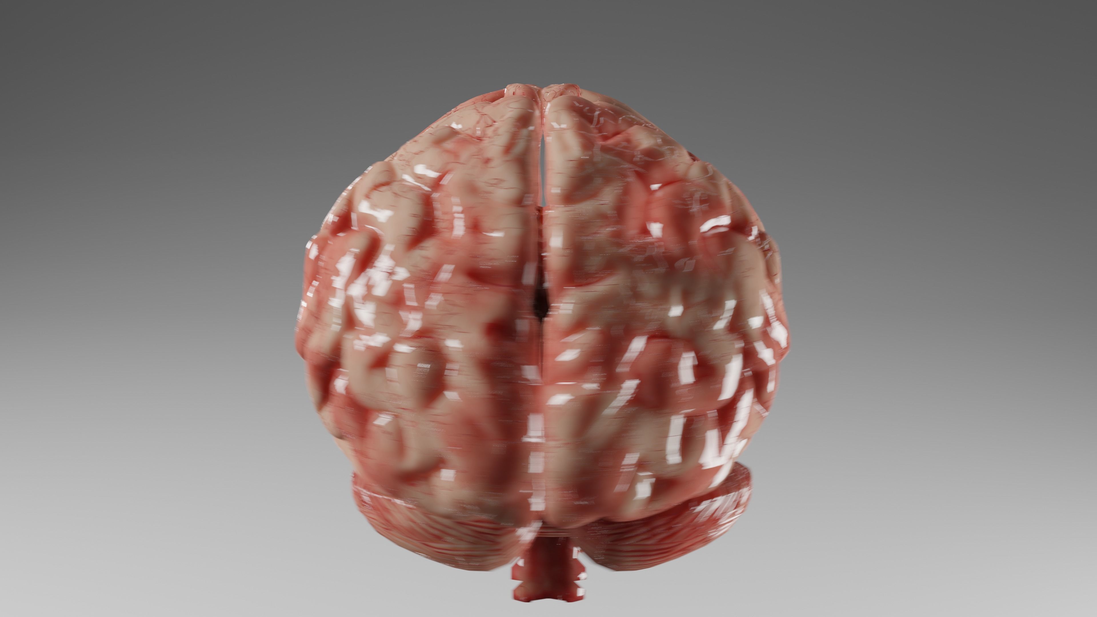Human Brain 3D PBR Model - Eevee Render Engine 3D model | CGTrader