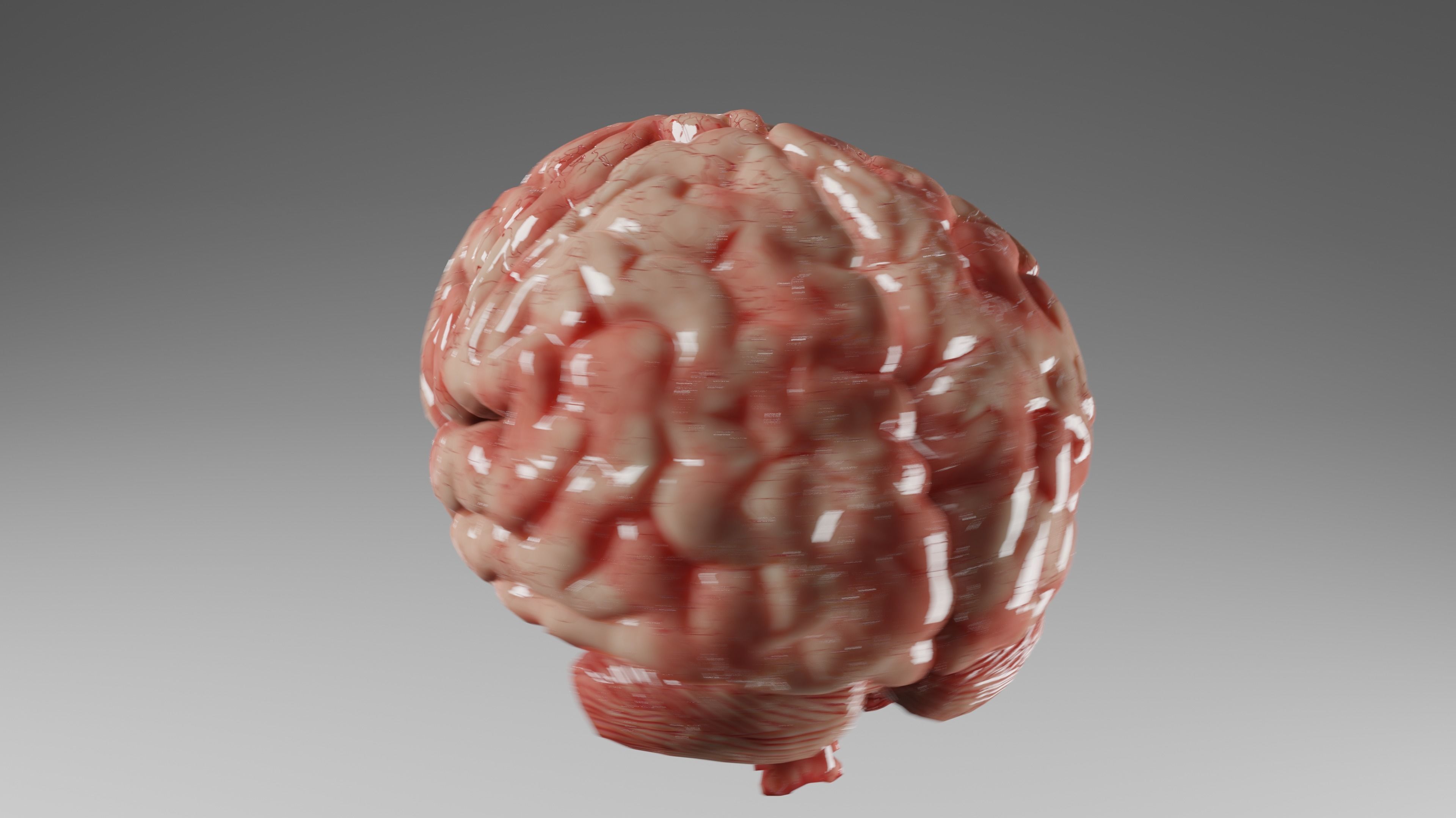 Human Brain 3D PBR Model - Eevee Render Engine 3D model | CGTrader
