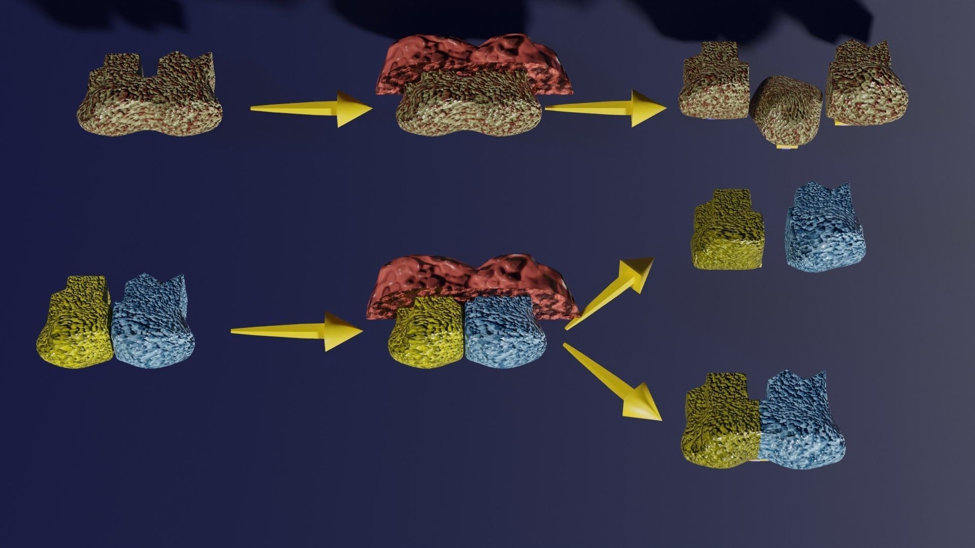 3D enzyme substrate reaction product 3D model 3D printable | CGTrader