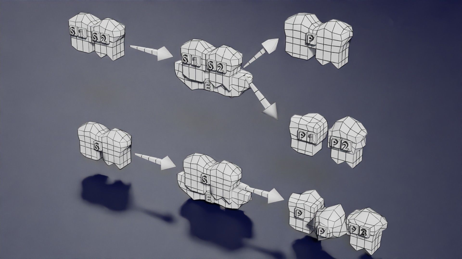 3D enzyme substrate reaction product 3D model 3D printable | CGTrader