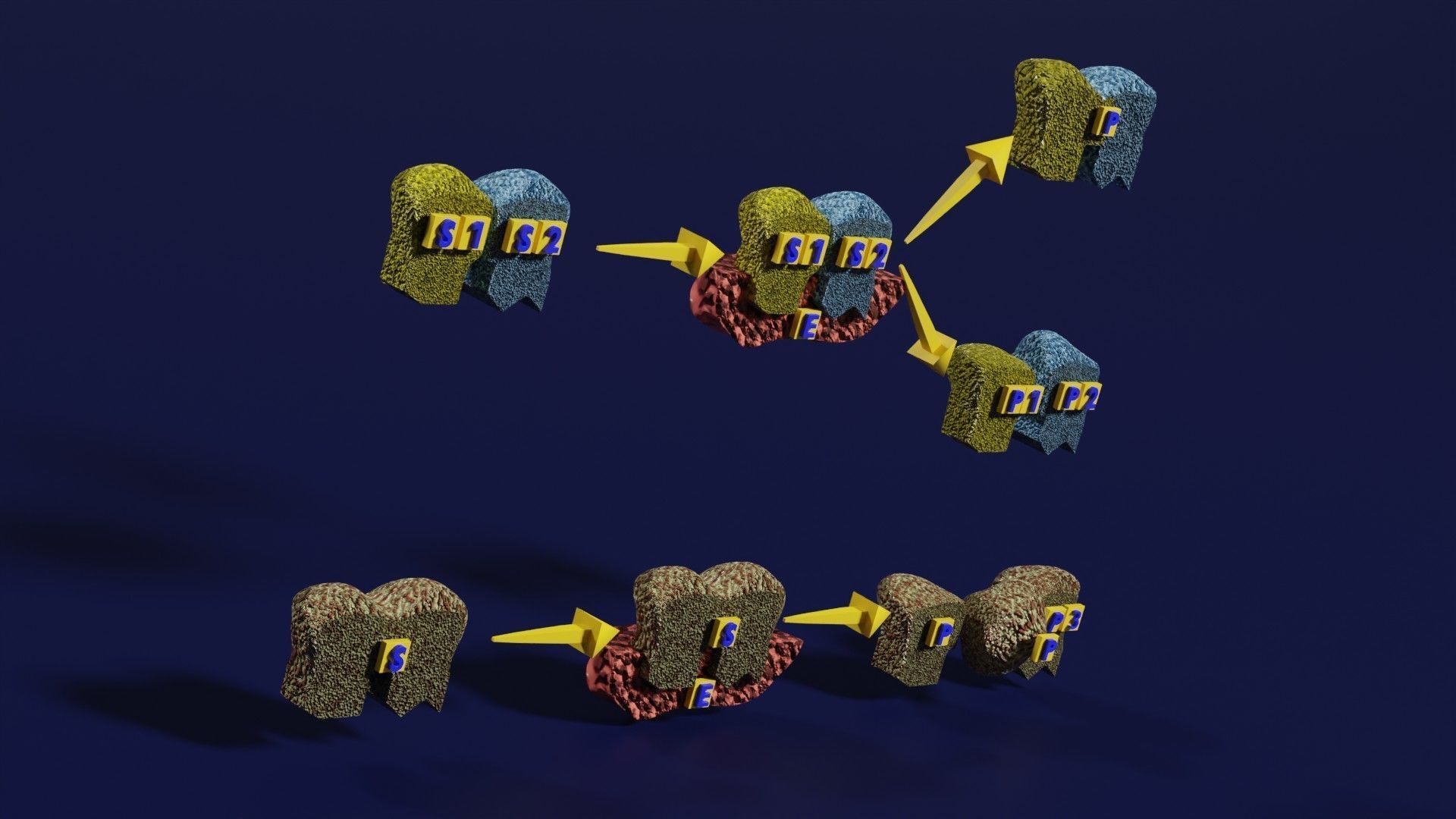3D enzyme substrate reaction product 3D model 3D printable | CGTrader