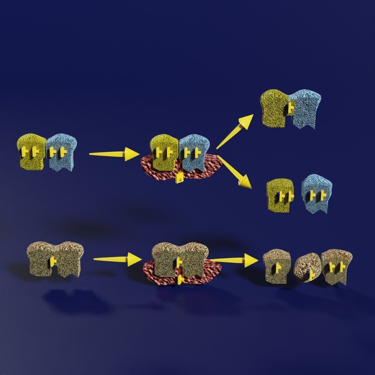 3D enzyme substrate reaction product 3D model 3D printable | CGTrader