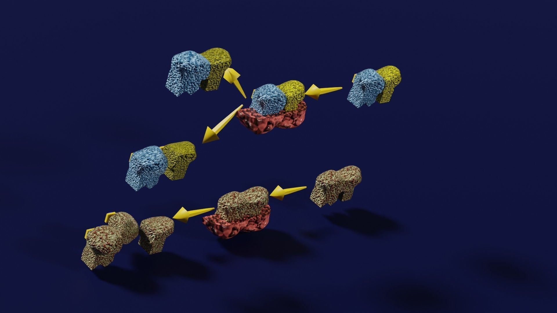 3D enzyme substrate reaction product 3D model 3D printable | CGTrader