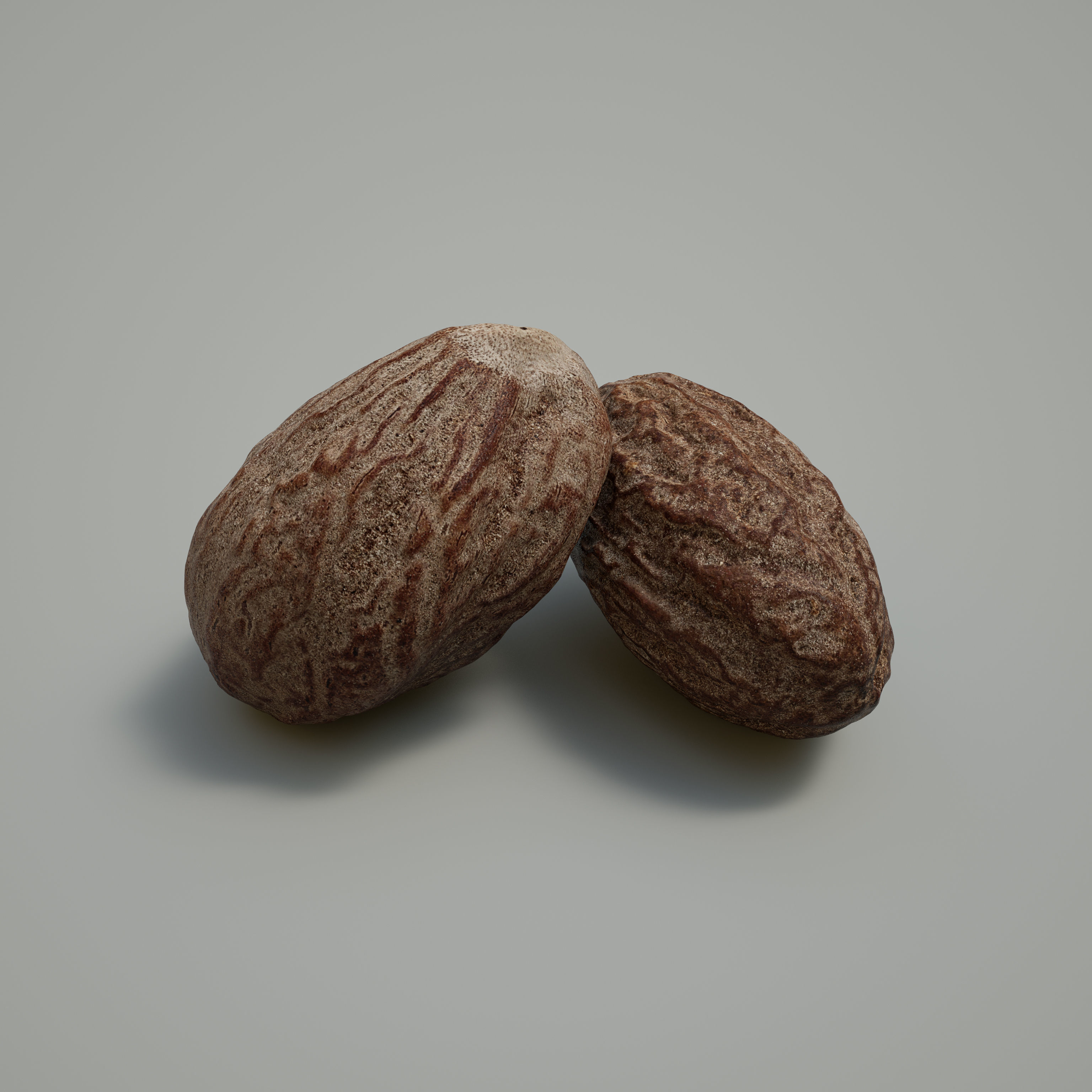 3D model 3DSCAN-Traditional Chinese Medicine-Nutmeg VR / AR / low-poly ...
