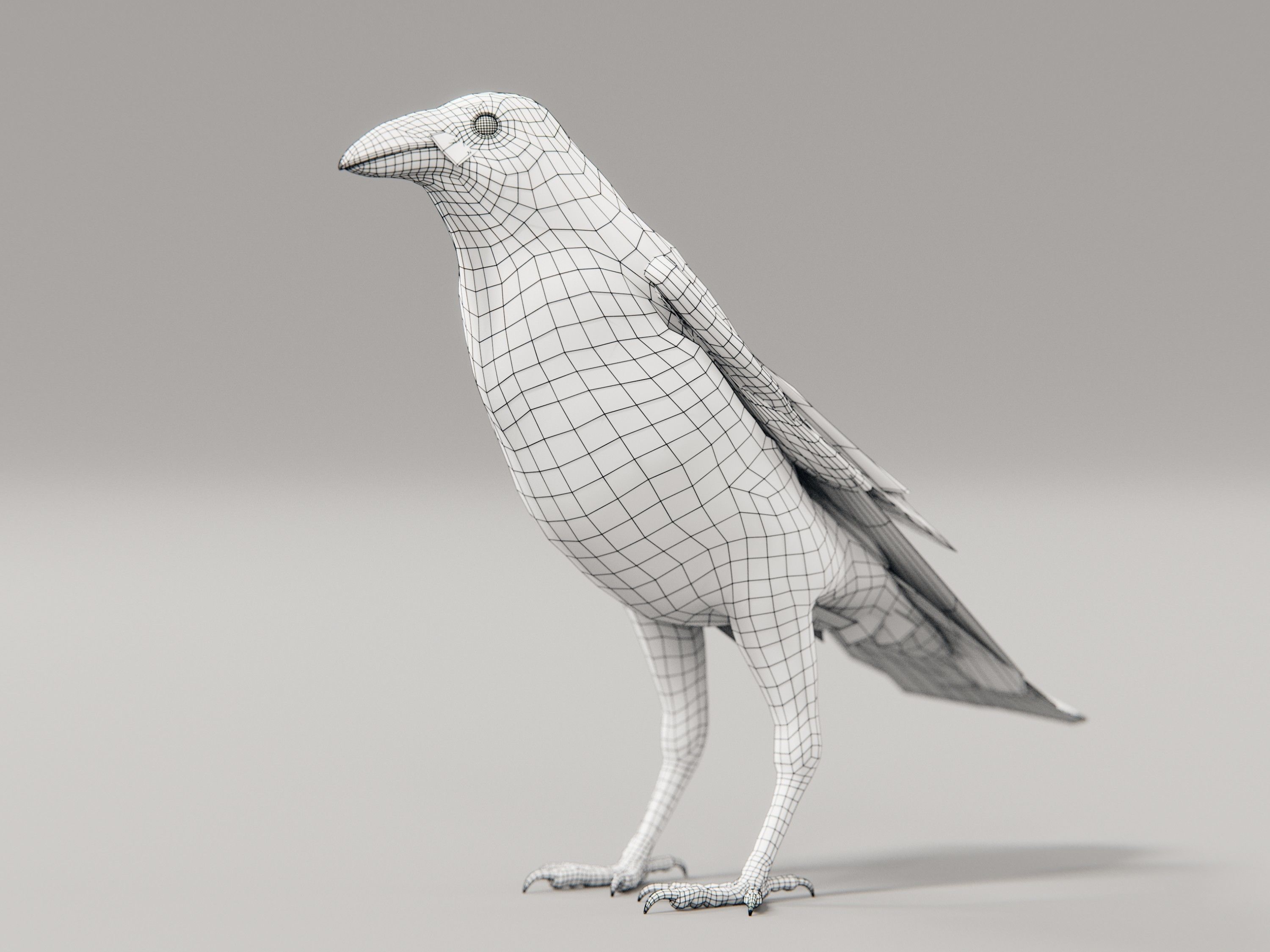 3D model Crow - Rigged VR / AR / low-poly | CGTrader