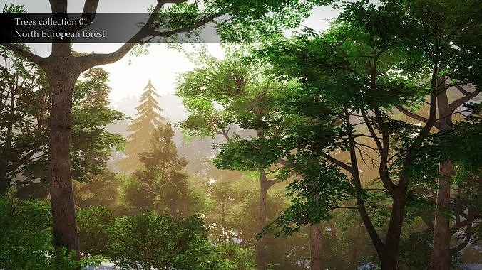 3D model Trees Collection 01 - North European Forest VR / AR / low-poly ...