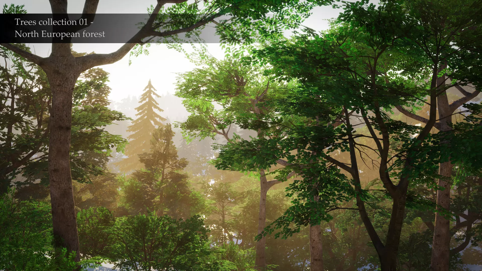 3D model Trees Collection 01 - North European Forest VR / AR / low-poly ...