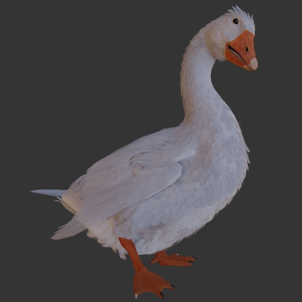Goose High poly Model 3D model animated rigged | CGTrader