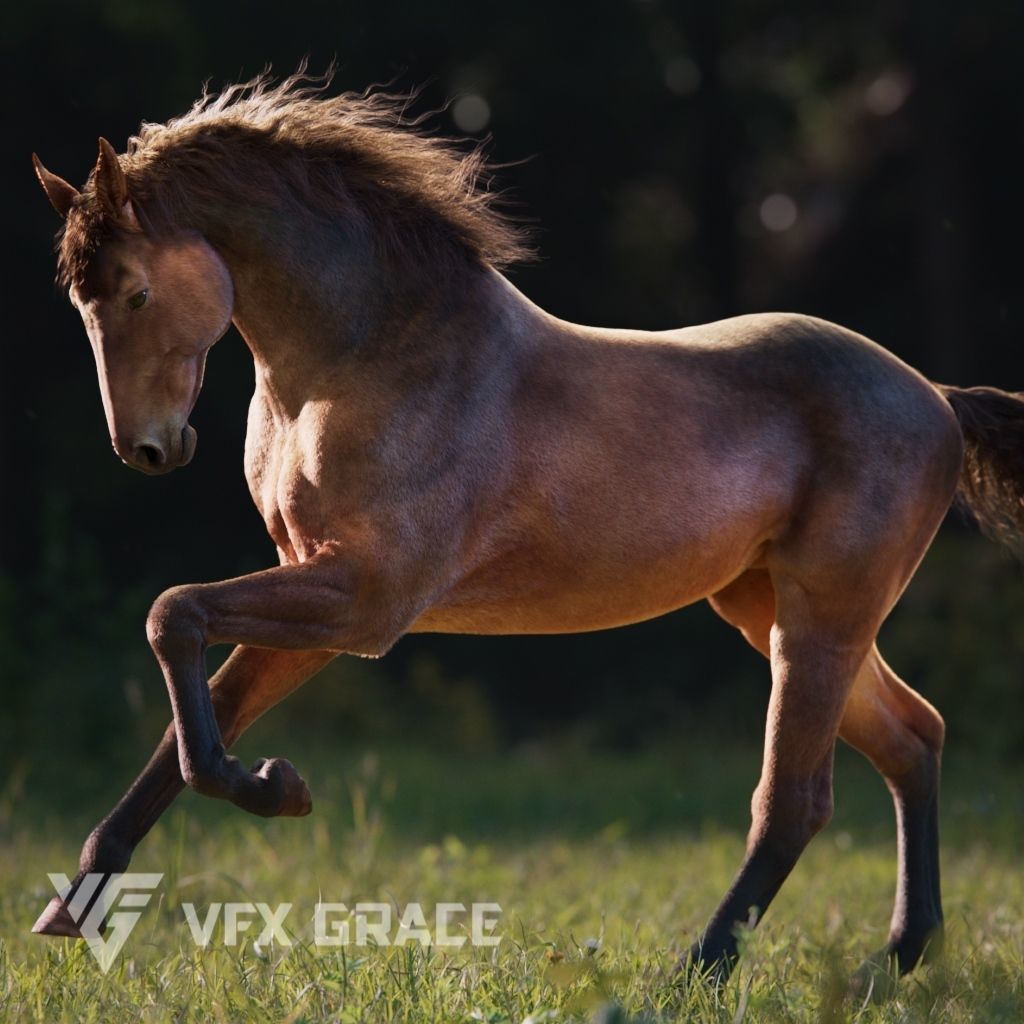 Brown Horse Animation VFX Grace 3D model animated rigged | CGTrader
