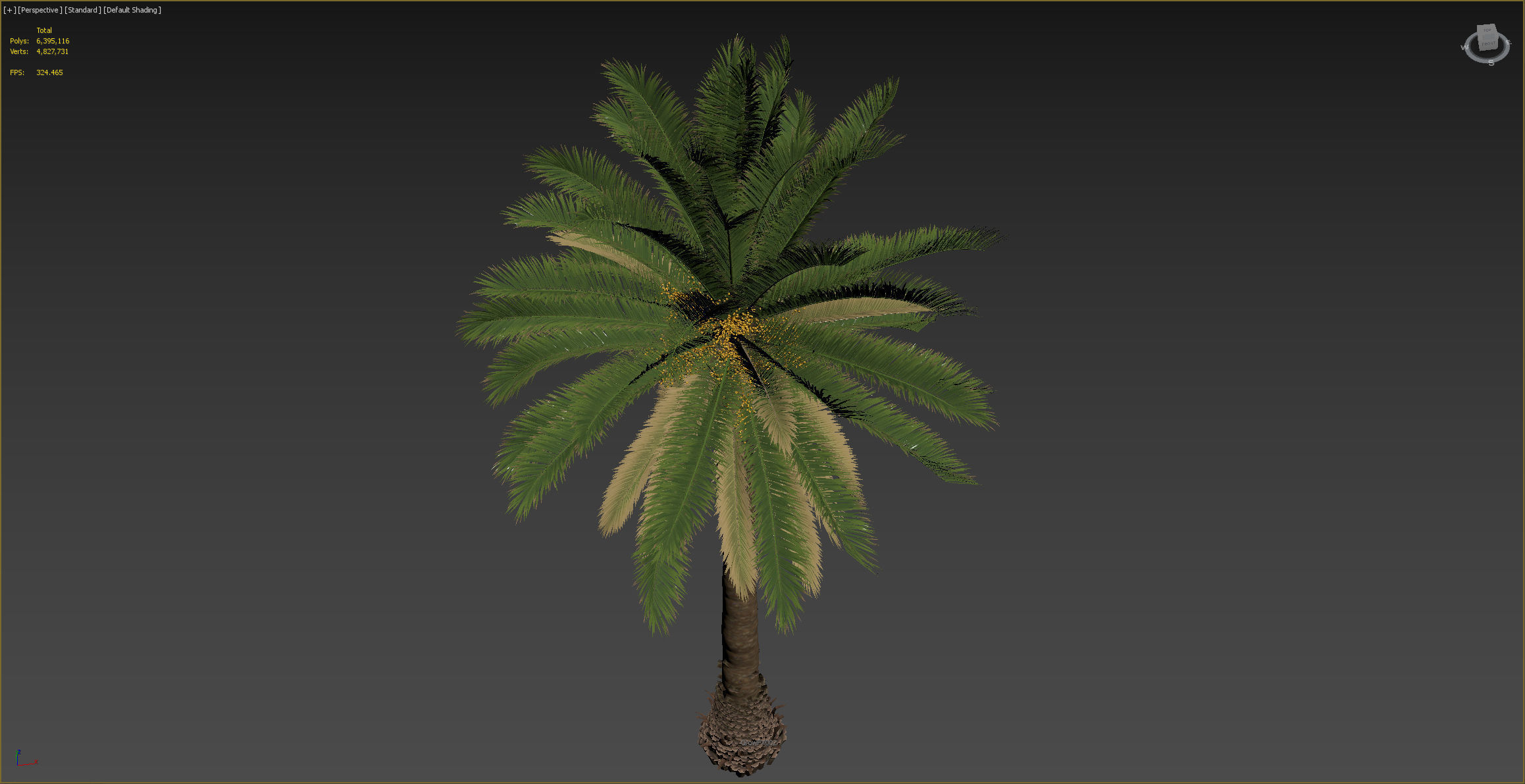PALM TREE 2 - POHON PALEM Phoenix Canariensis VRAY CORONA 3DMAX 3D ...