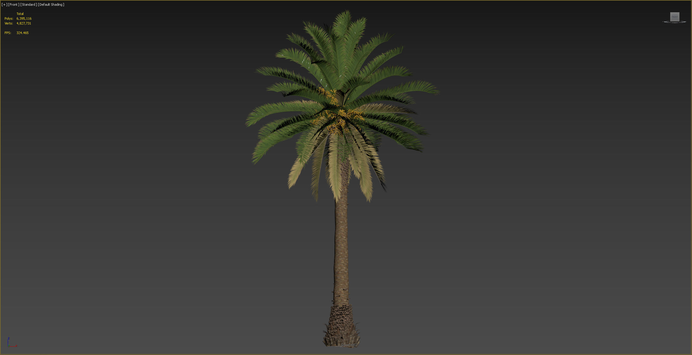 PALM TREE 2 - POHON PALEM Phoenix Canariensis VRAY CORONA 3DMAX 3D ...