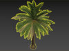 PALM TREE 4 - POHON PALEM Phoenix Canariensis VRAY CORONA 3DMAX 3D ...