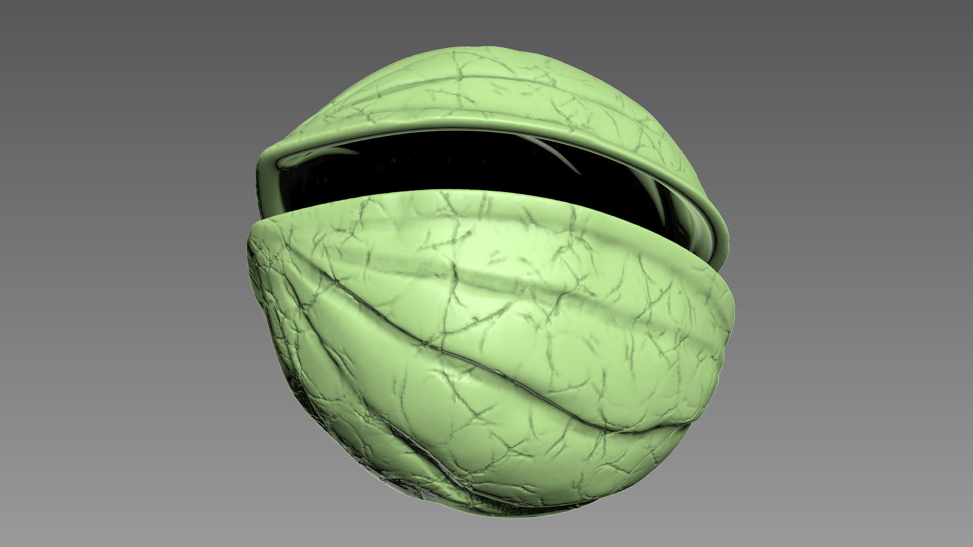 Nut Shell 3D model 3D printable | CGTrader