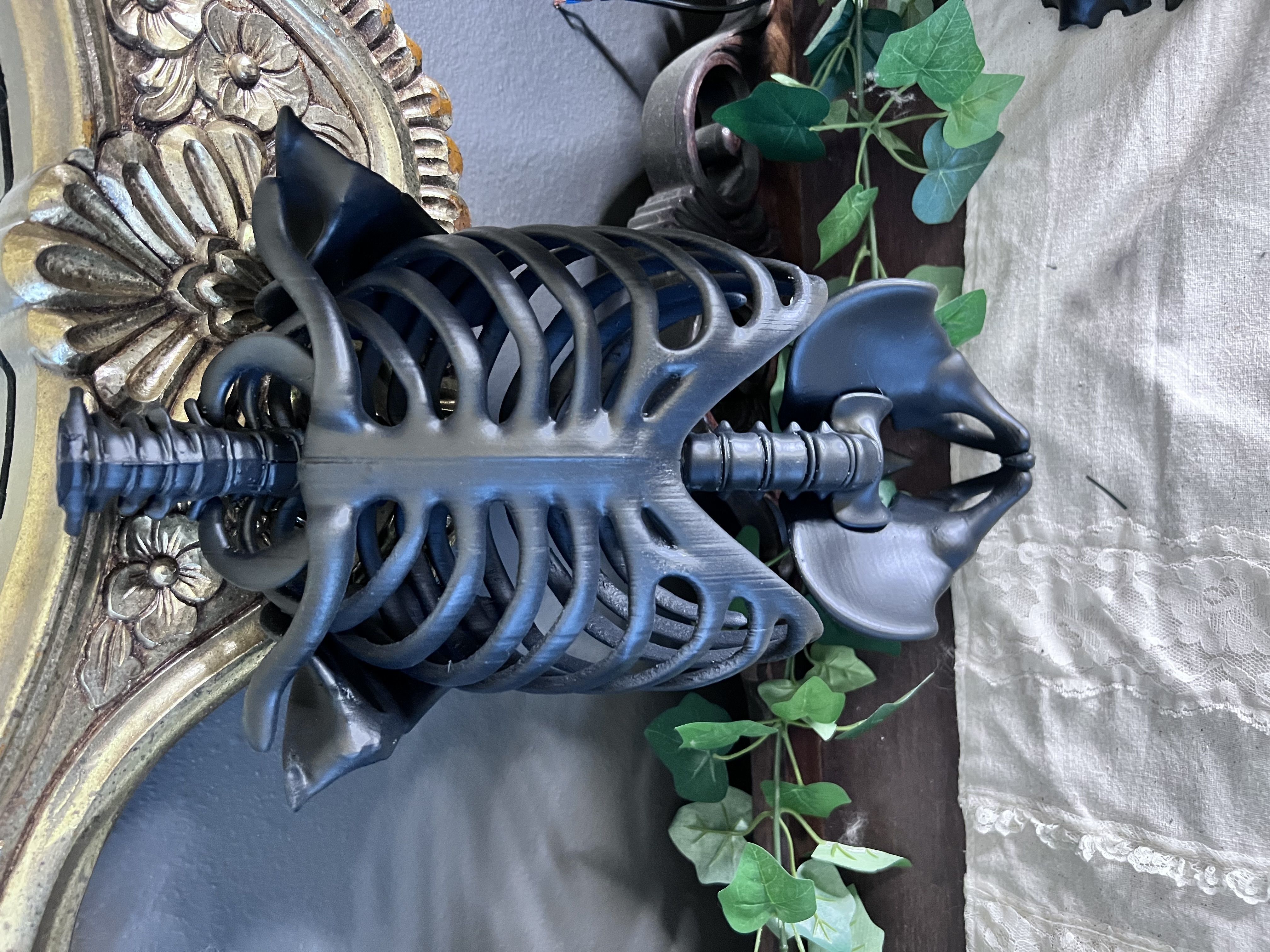 Skeleton torso with hollow spine 3D model 3D printable | CGTrader