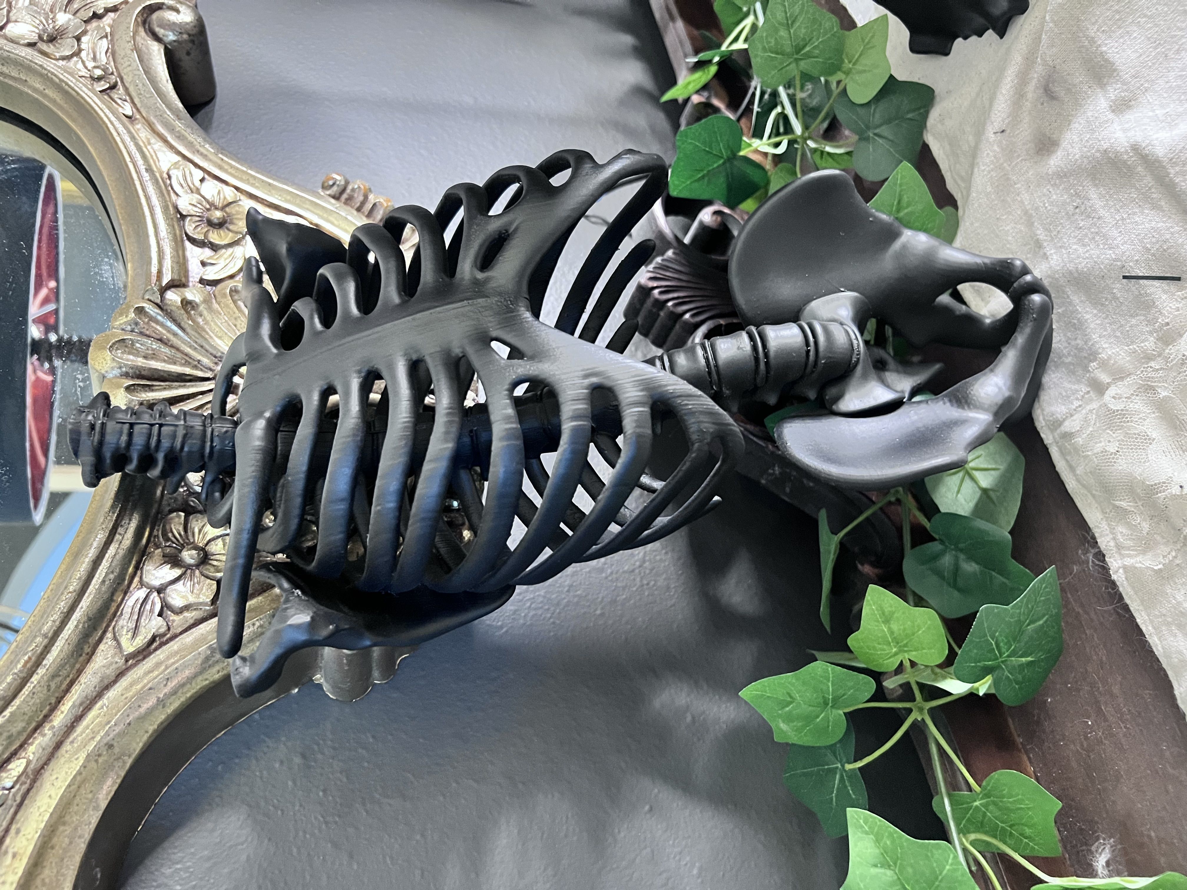 Skeleton torso with hollow spine 3D model 3D printable | CGTrader