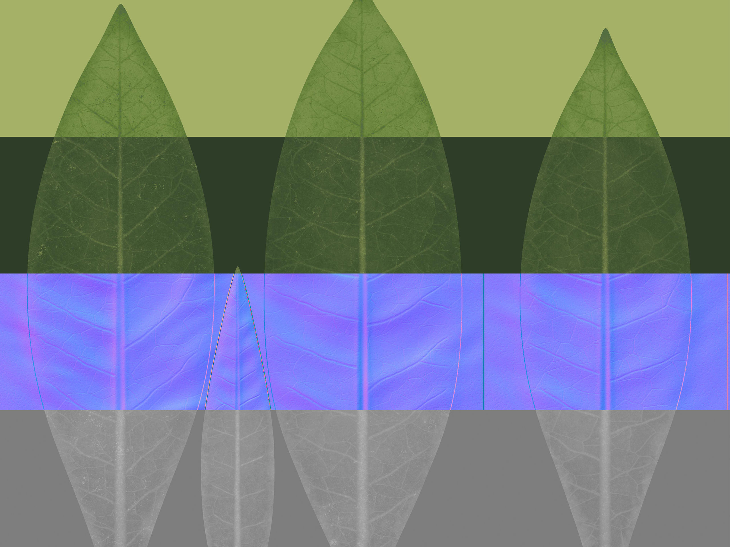 Plant Money Tree - Pachira Aquatica stump style 3D model | CGTrader