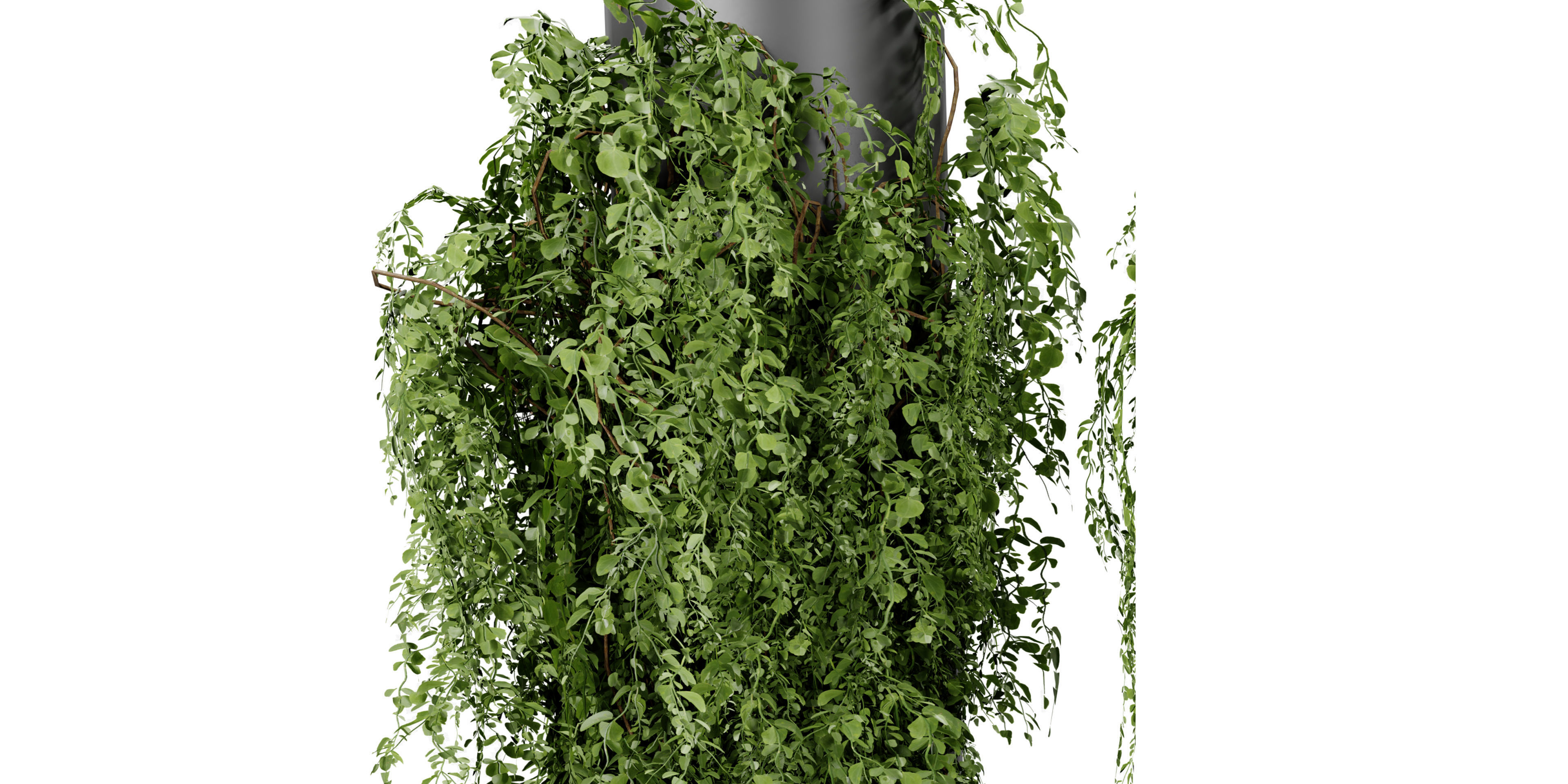 Collection plant vol 526 - blender model 3D model | CGTrader