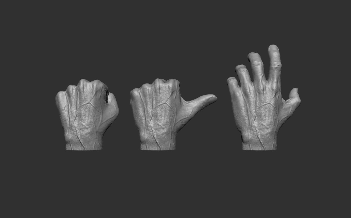 Collection Hand | CGTrader