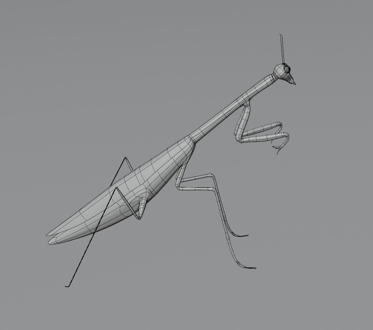 3D model Mantis low poly 3D model for 3D print VR / AR / low-poly ...