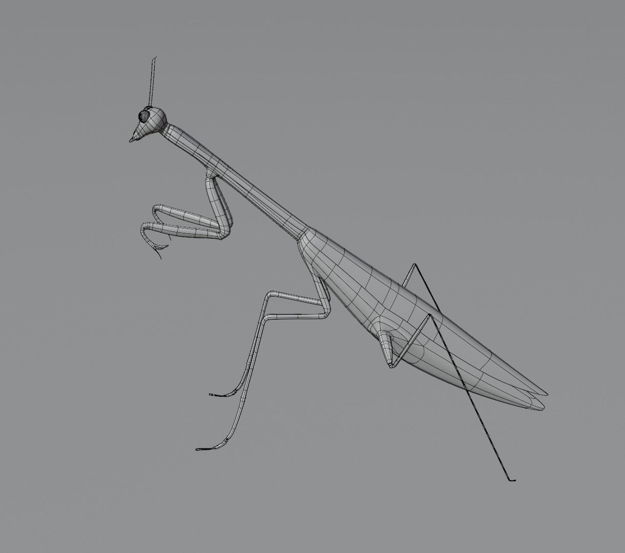 3D model Mantis low poly 3D model for 3D print VR / AR / low-poly | CGTrader