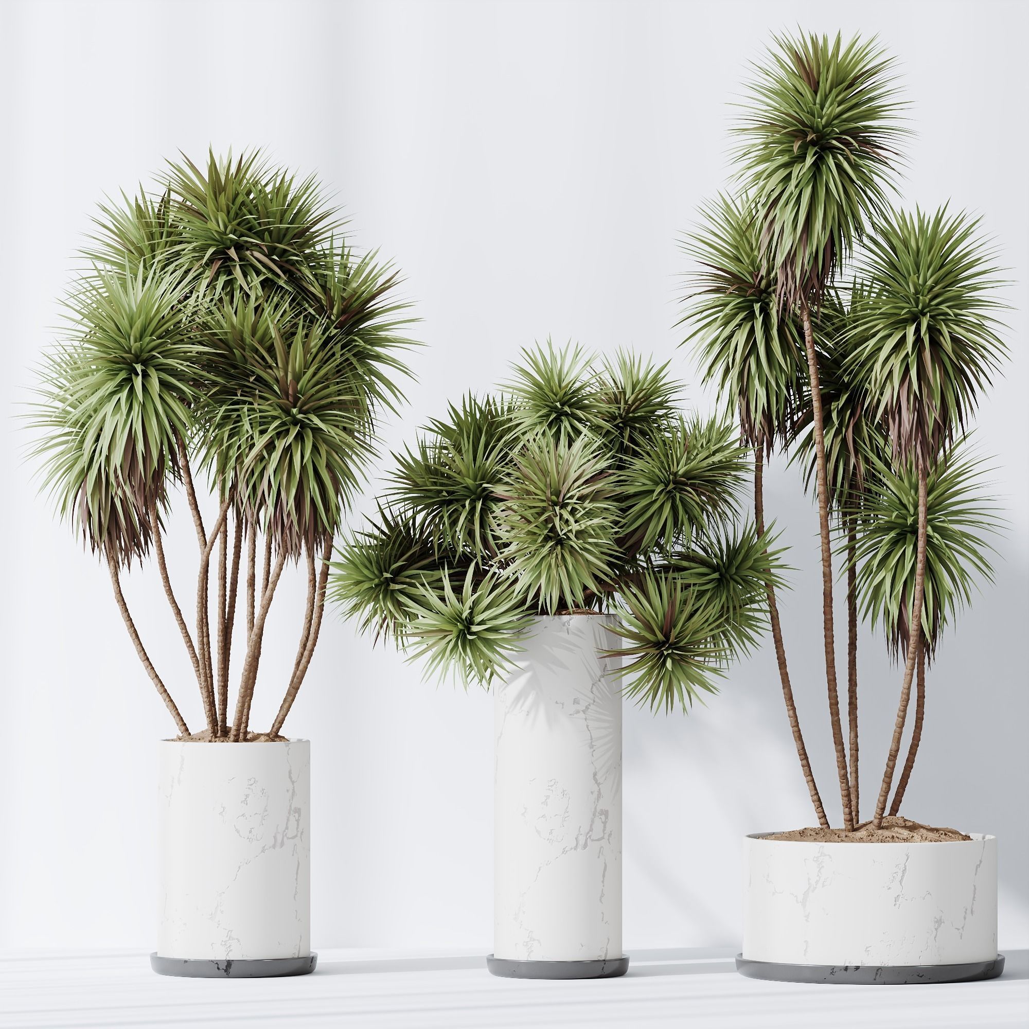 HQ Plants Yucca Elephantipes Gigantea Vase Set04 3D model | CGTrader