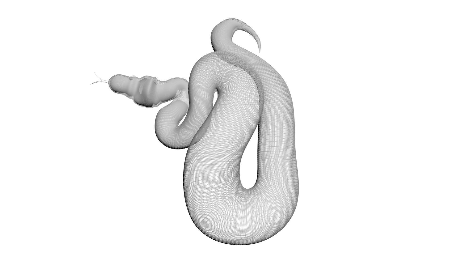 Albino Ball Python Snake 3D model | CGTrader
