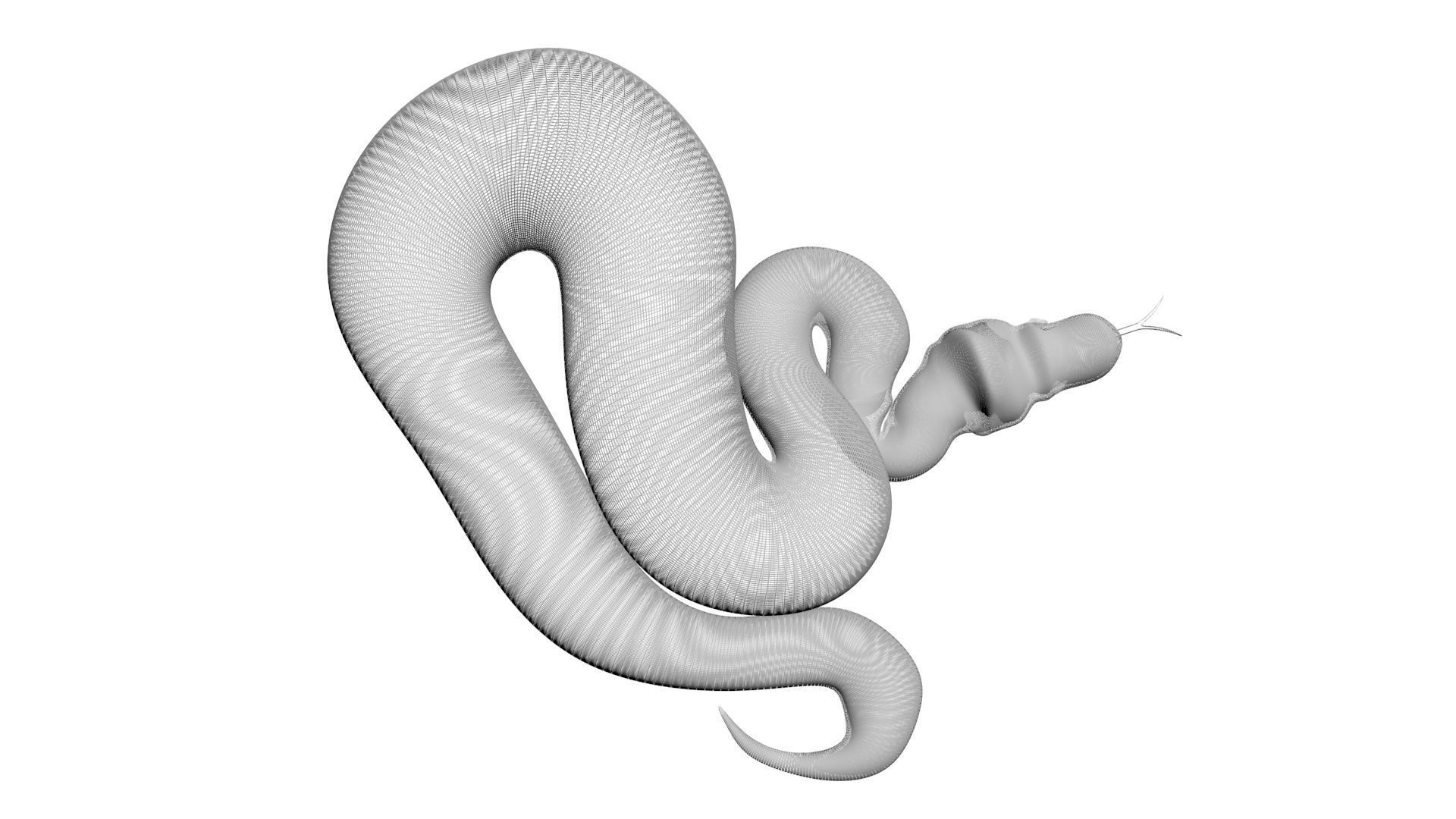 Albino Ball Python Snake 3D model | CGTrader