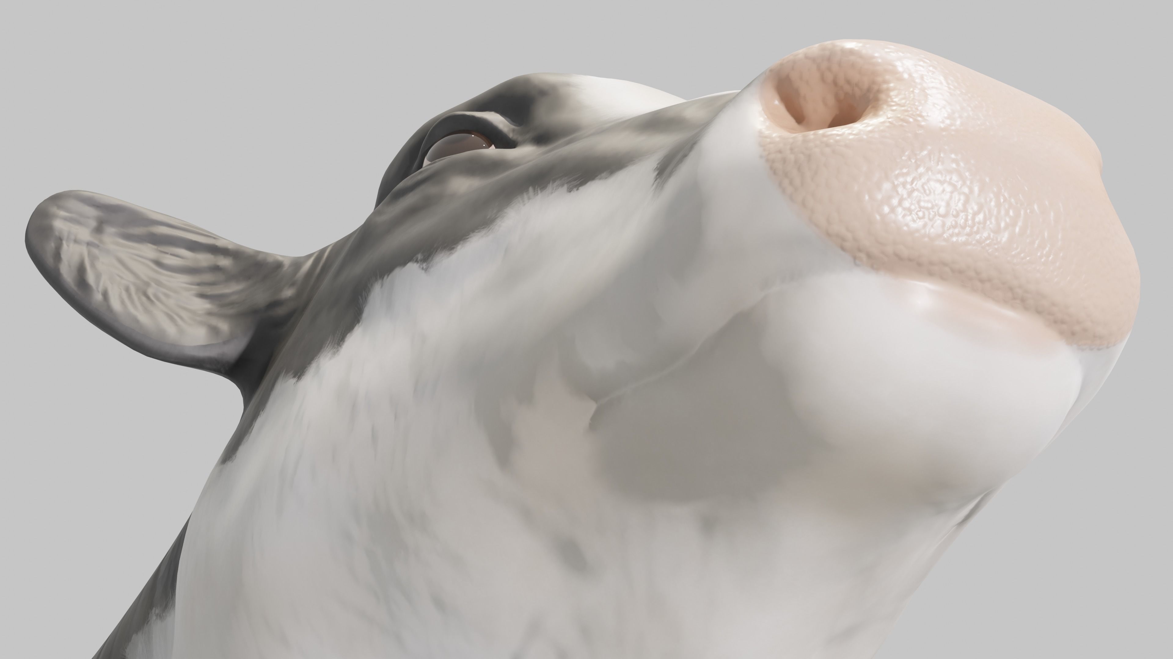 PBR Free Cow Head free 3D model | CGTrader