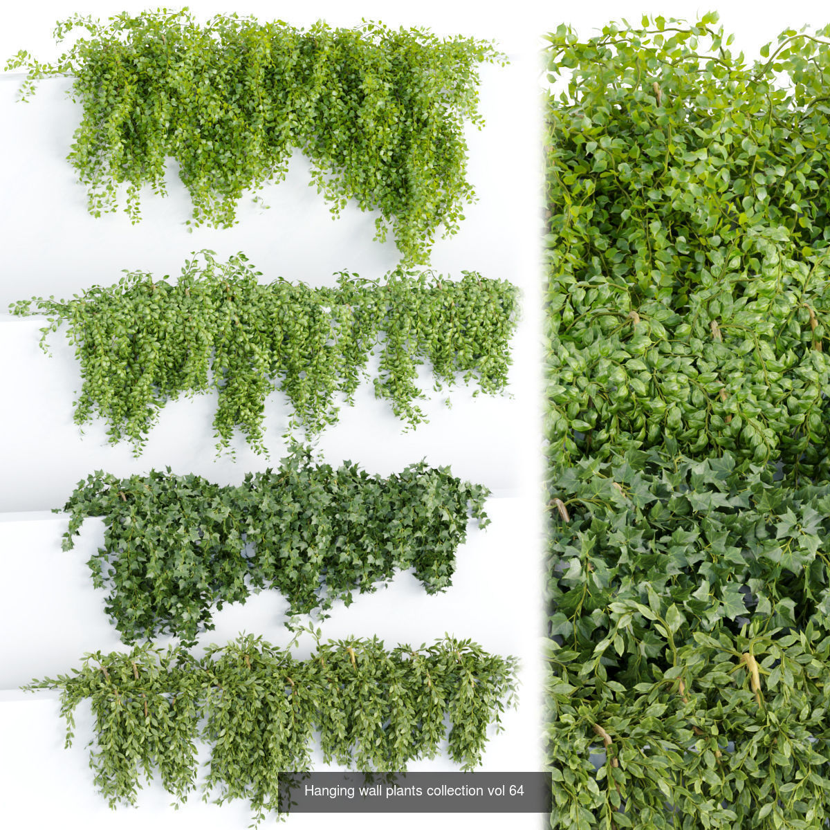 37 Hanging plant models collection | CGTrader