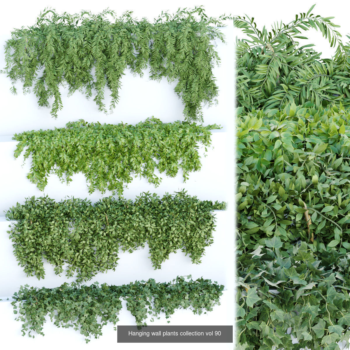 37 Hanging plant models collection | CGTrader