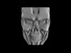 Terminator T-800 robot cyborg face low-relief bas-relief 3D model 3D ...