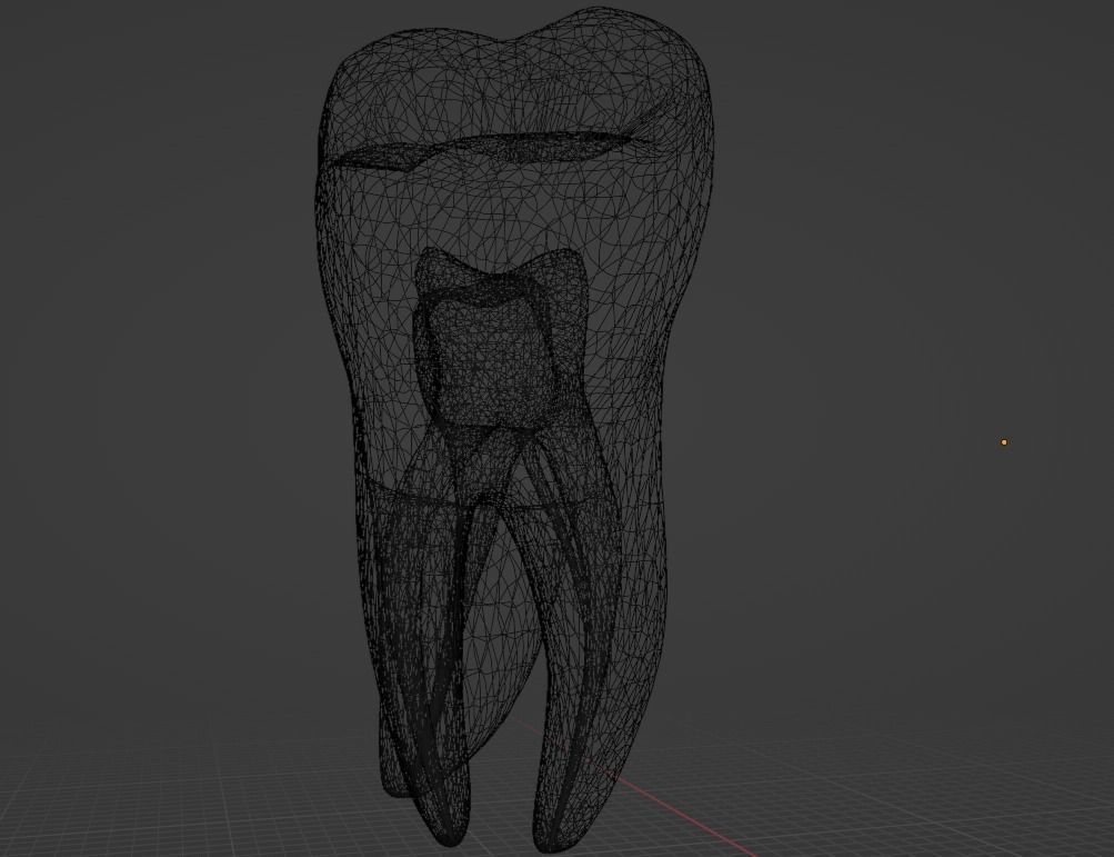 a tooth 3D model 3D printable | CGTrader