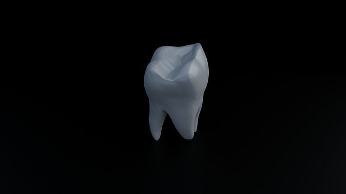 a tooth 3D model 3D printable | CGTrader