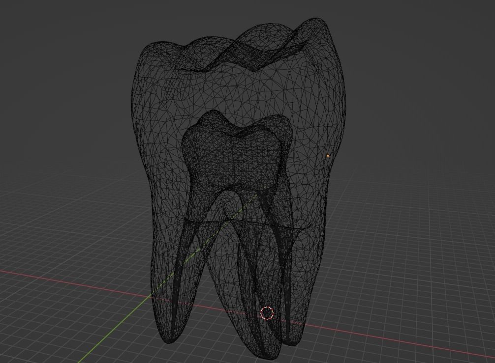 a tooth 3D model 3D printable | CGTrader