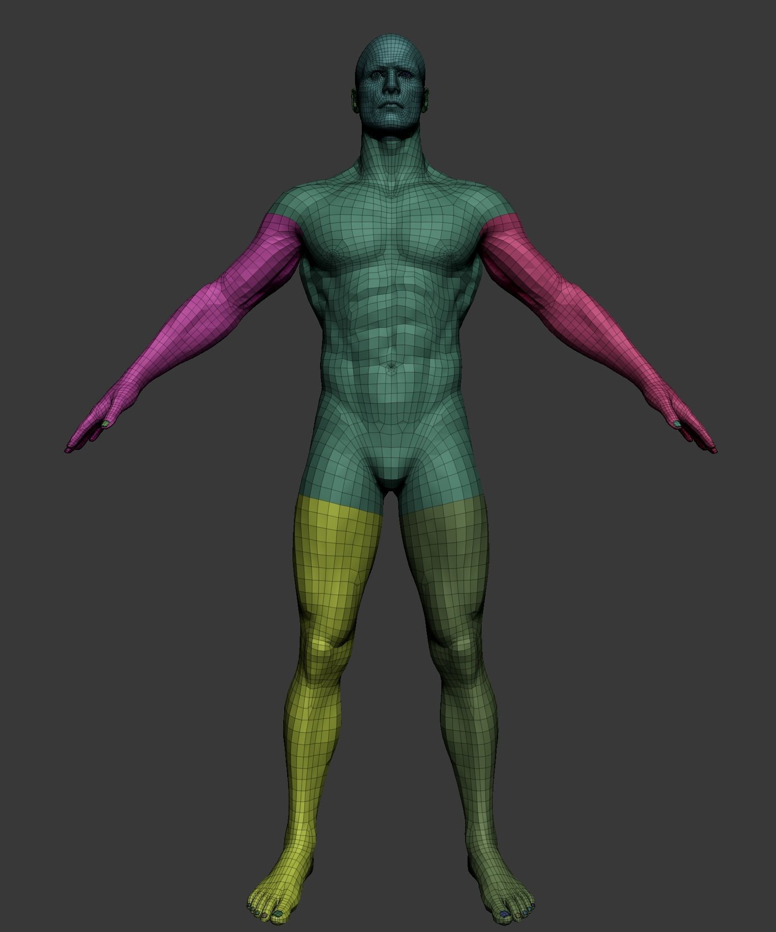3D model Lifelike Male Base 3D Model VR / AR / low-poly | CGTrader