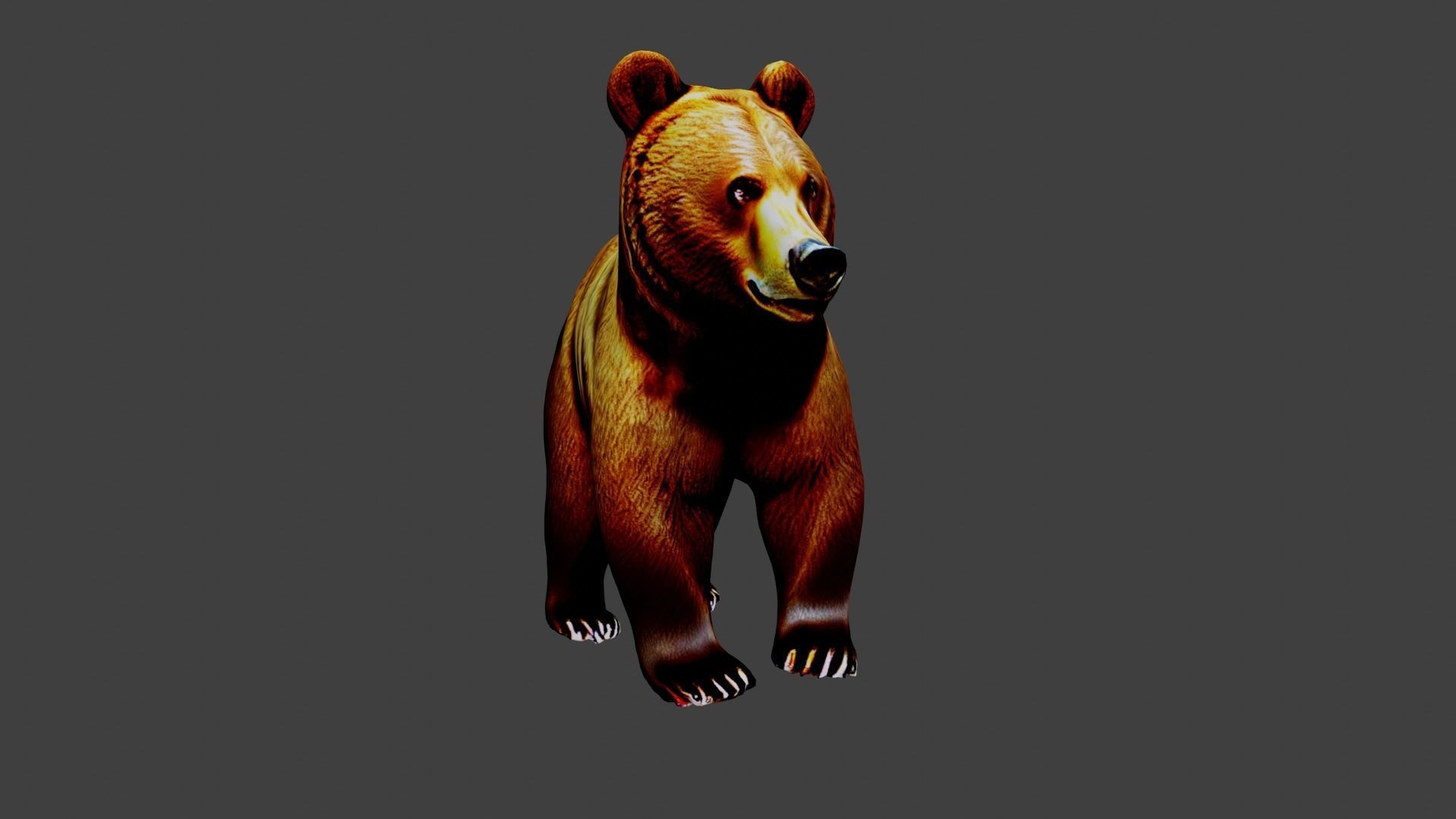 3D model Bear Animal VR / AR / low-poly | CGTrader