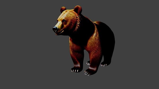 3D model Bear Animal VR / AR / low-poly | CGTrader