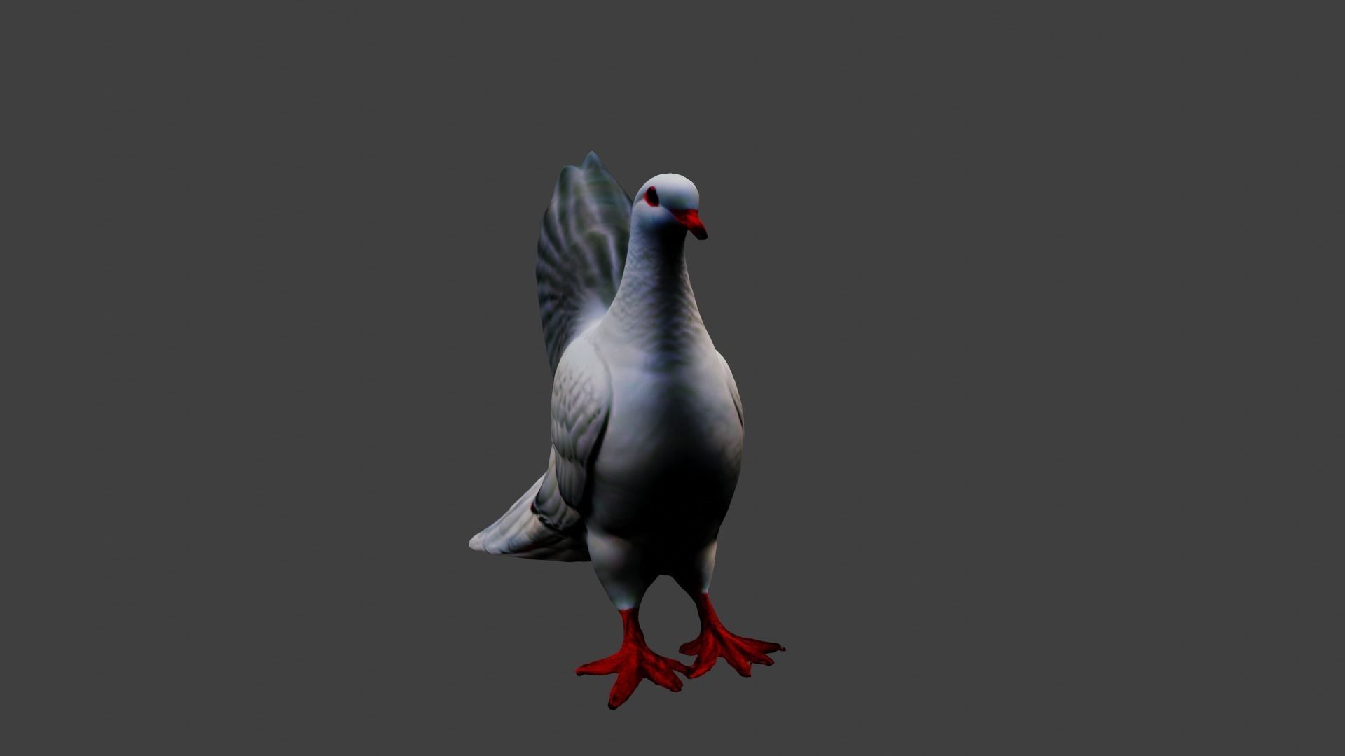3D model Pigeon Animal VR / AR / low-poly | CGTrader