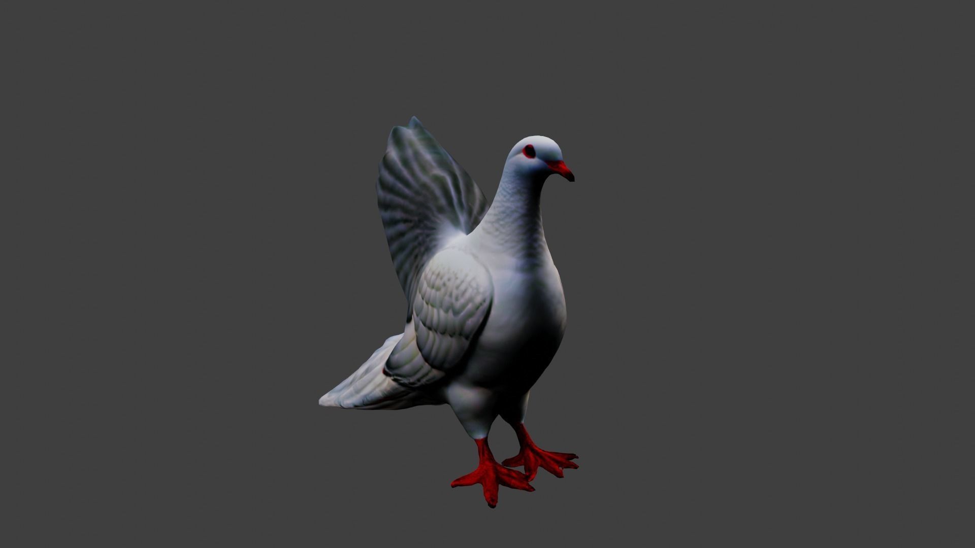 3D model Pigeon Animal VR / AR / low-poly | CGTrader
