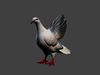 3D model Pigeon Animal VR / AR / low-poly | CGTrader