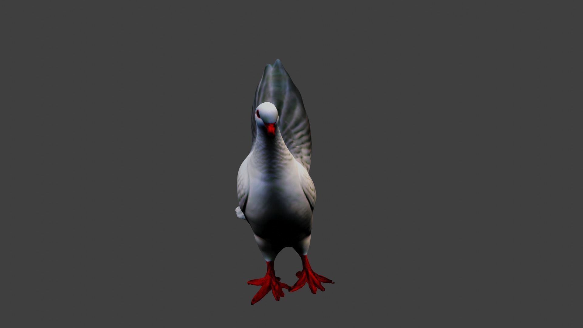 3D model Pigeon Animal VR / AR / low-poly | CGTrader