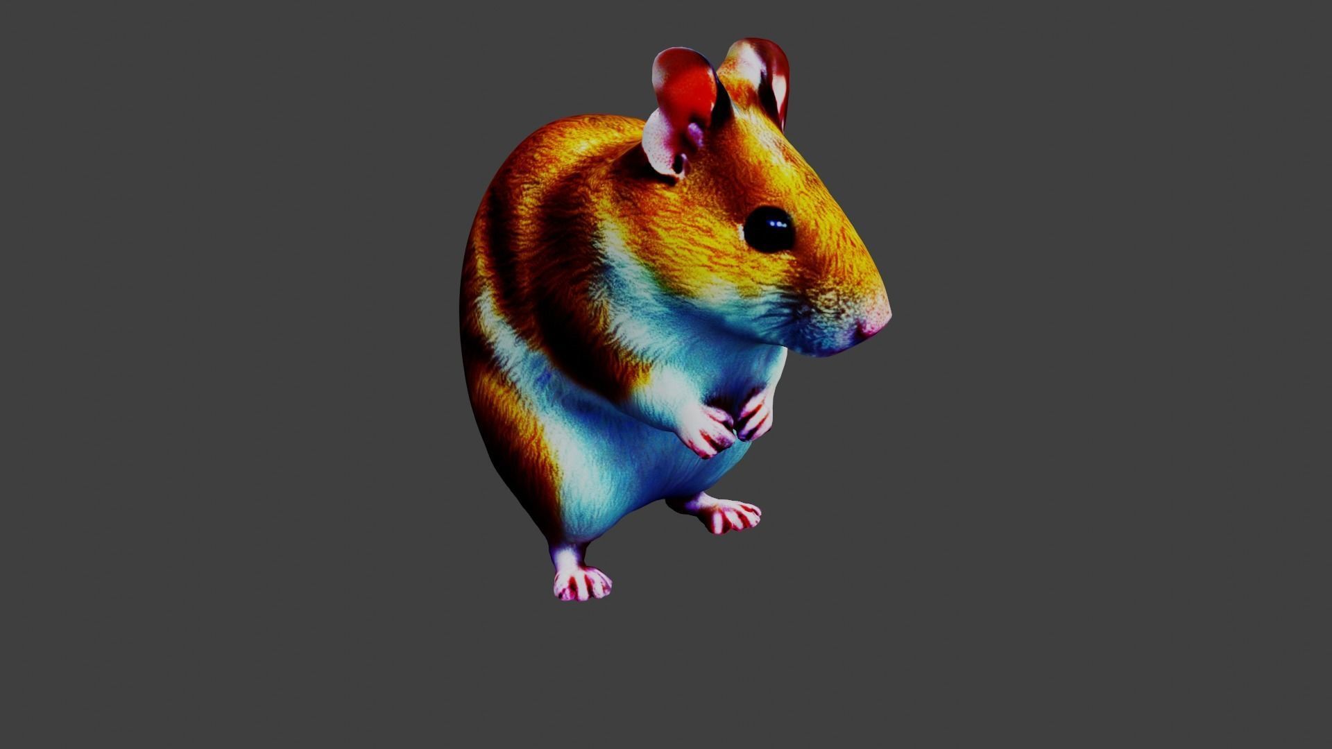 3D model Hamster Mouse Rat VR / AR / low-poly | CGTrader