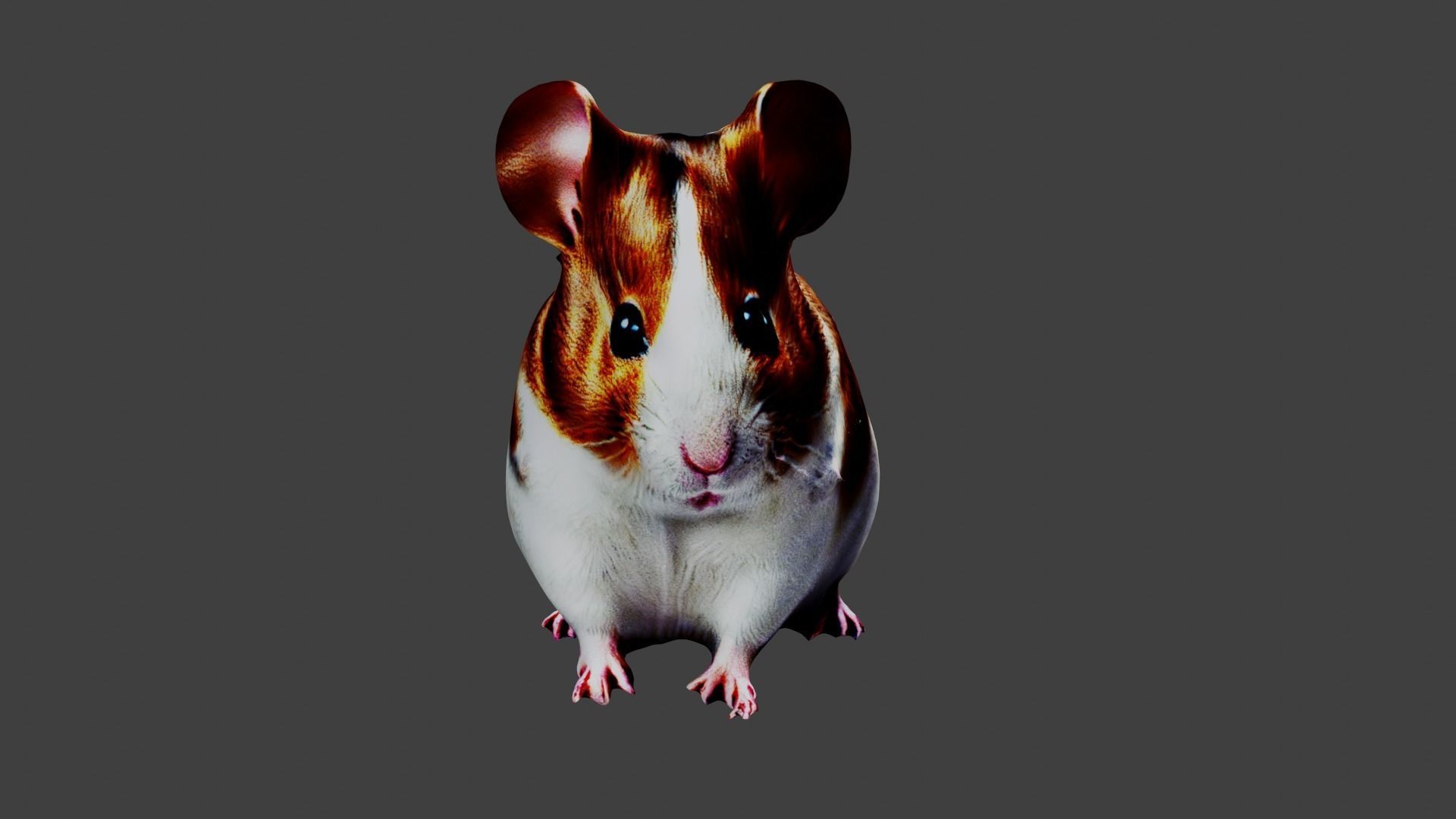 3D model Hamster Animal VR / AR / low-poly | CGTrader