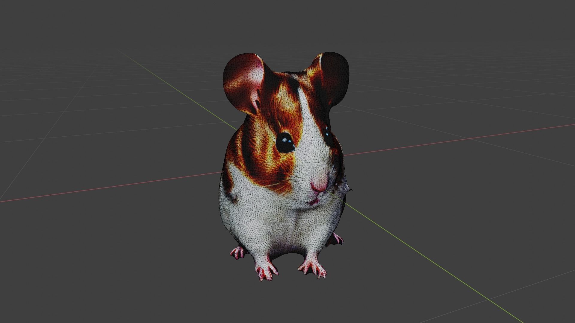 3D model Hamster Animal VR / AR / low-poly | CGTrader