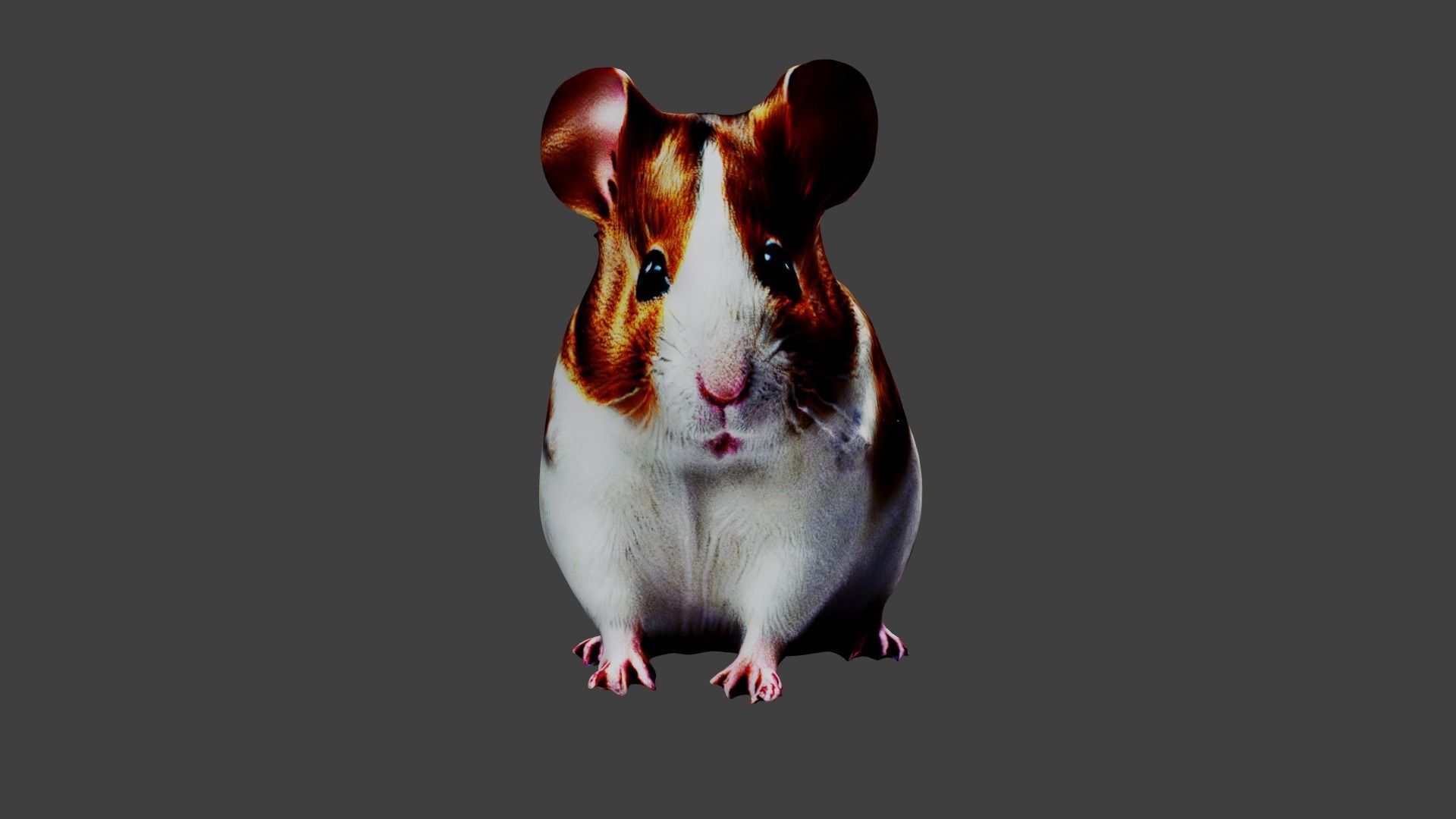 3D model Hamster Animal VR / AR / low-poly | CGTrader