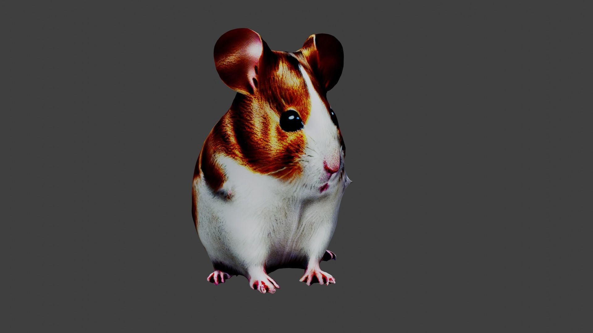 3D model Hamster Animal VR / AR / low-poly | CGTrader
