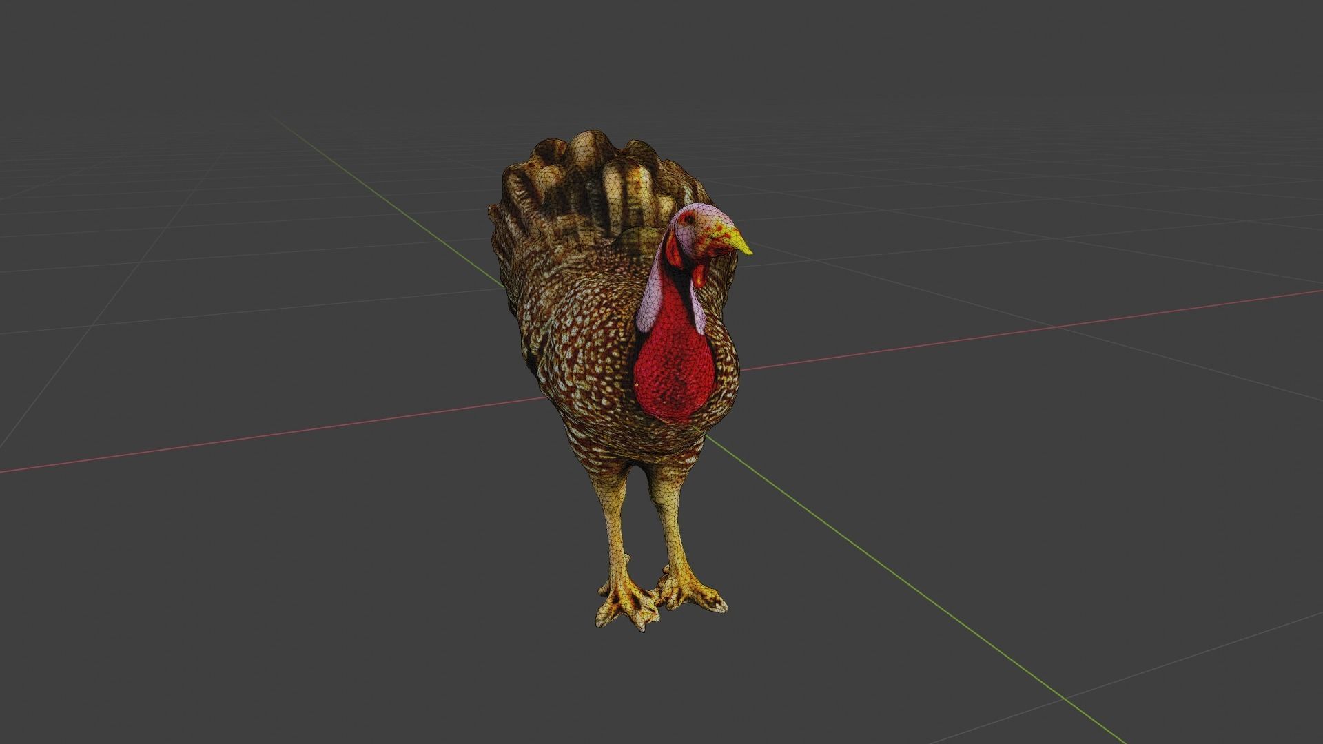 3D model Turkey Animal VR / AR / low-poly | CGTrader
